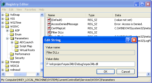 A tutorial on how to design, use and build the ISAPI filter application for Windows IIS web ...